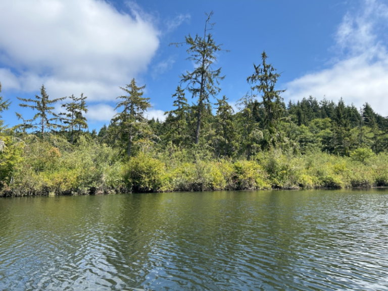 Conserved: NCLC Expands Rare Habitat Preserve on Lower Columbia River ...