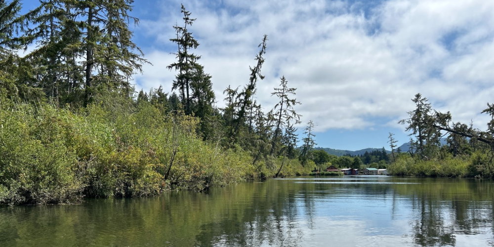 Conserved: NCLC Expands Rare Habitat Preserve on Lower Columbia River ...
